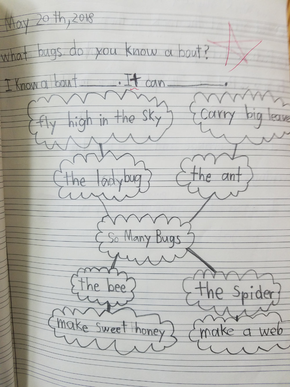 English Student Progress | Patrick Spohr